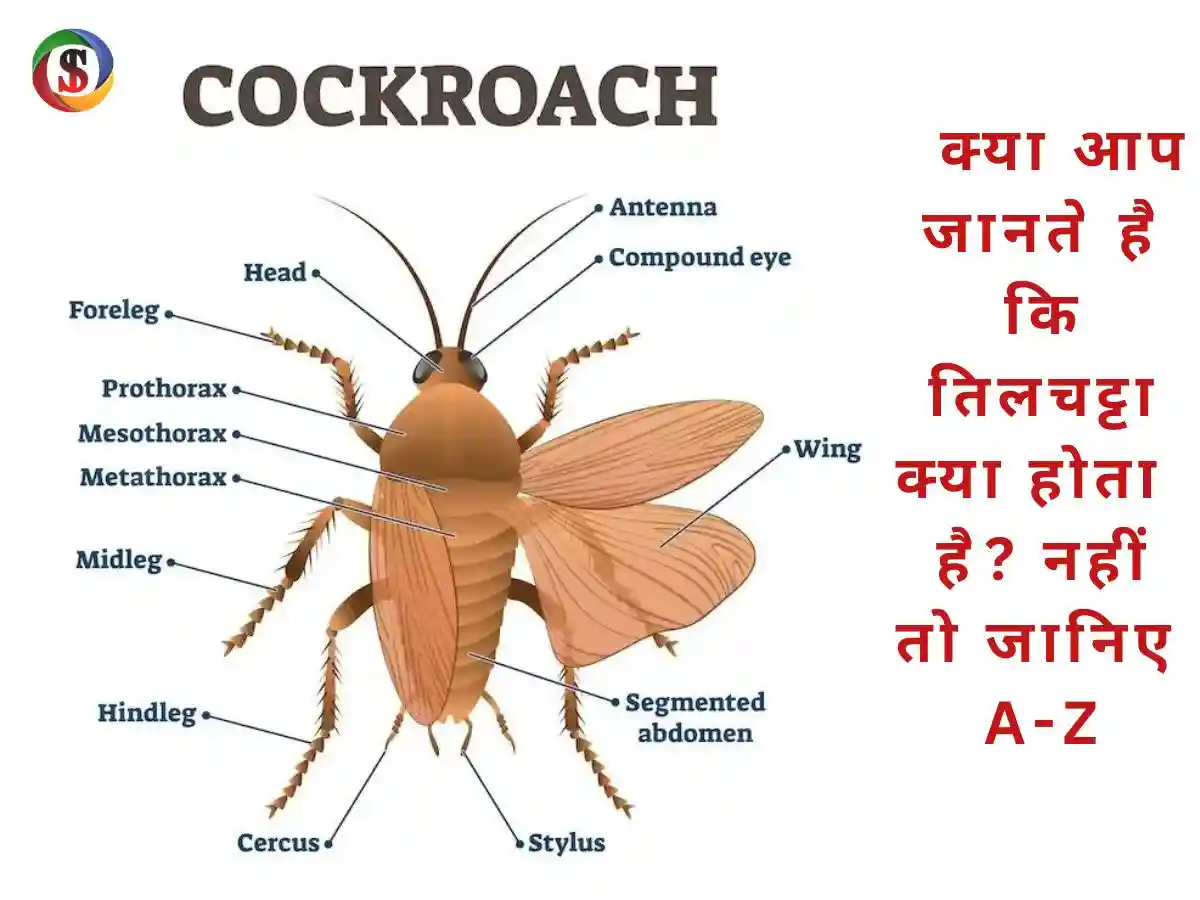 - Page 4 of 8 - Hindi Me Science